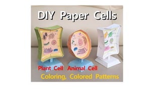 performance task 2 plant and animal cell.pptx