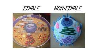 performance task 2 plant and animal cell.pptx