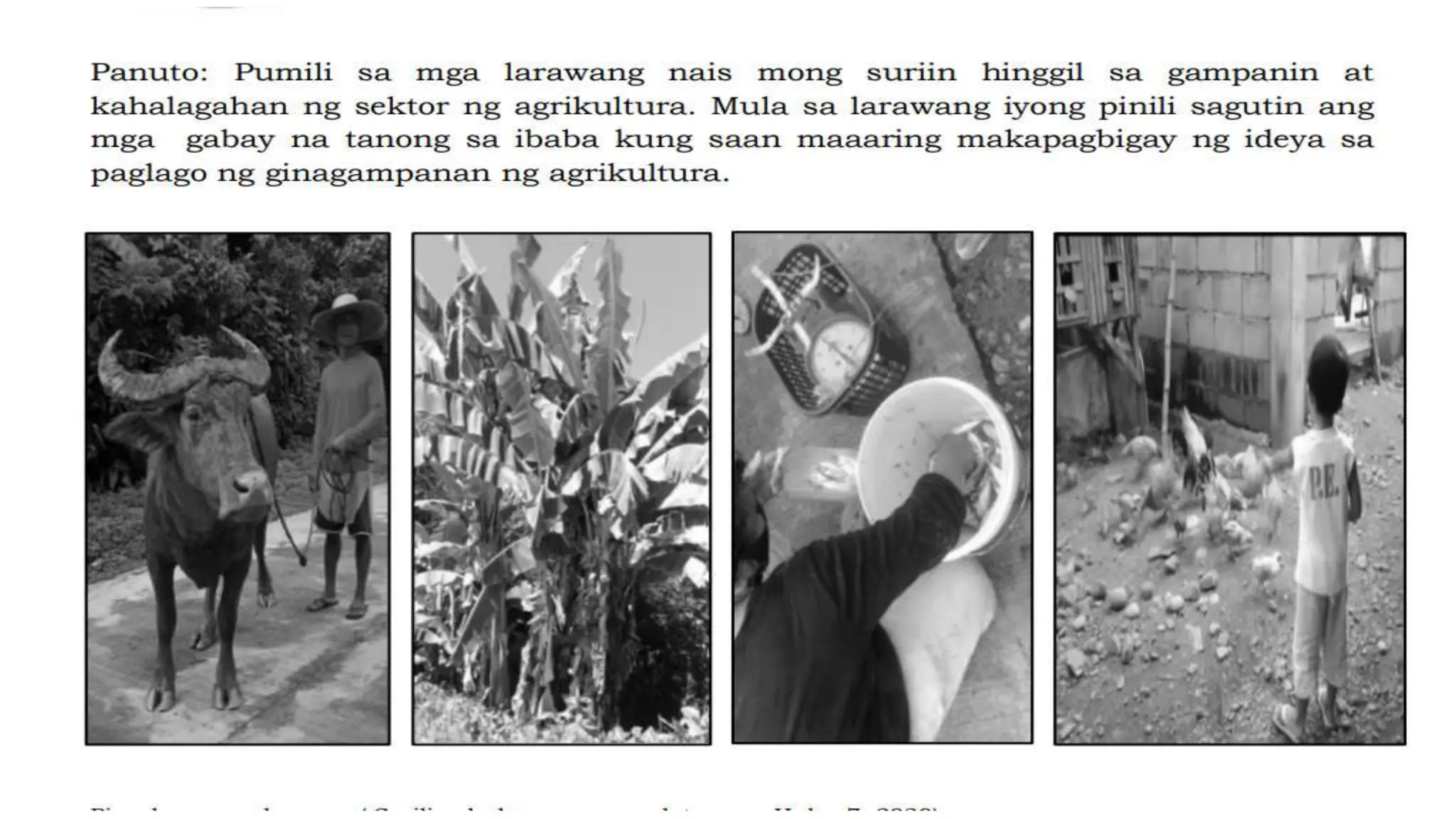 PERFORMANCE TASK 3.pptxbhfhjfjhfjfjhfhjfhj | PPT