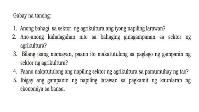 PERFORMANCE TASK 3.pptxbhfhjfjhfjfjhfhjfhj | PPTX