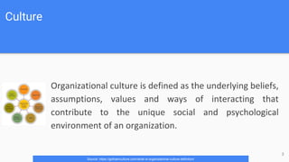 Performance vs Growth Culture | PDF