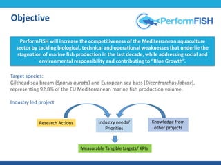 Perform fish presentation_october17_final | PPTX | Agriculture | Industries