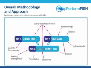 Perform fish presentation_october17_final | PPTX | Agriculture | Industries