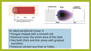 PERFORM, IDENTIFY AND DESCRIBE THE PERIPHERAL BLOOD.pptx