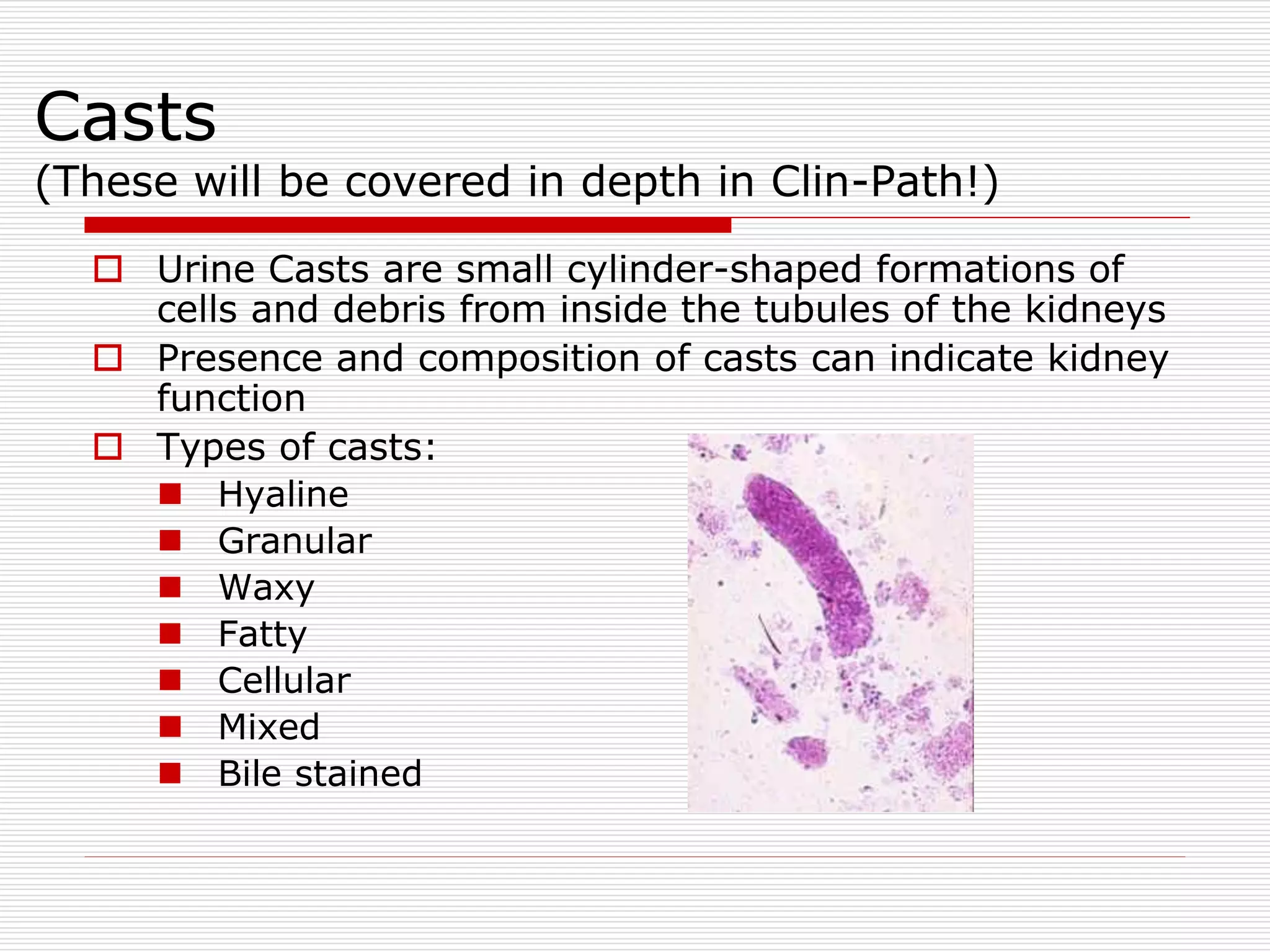 Performing-the-Urinalysis.ppt
