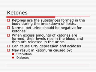 Performing-the-Urinalysis.ppt