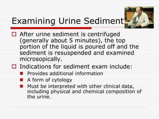 Performing-the-Urinalysis.ppt
