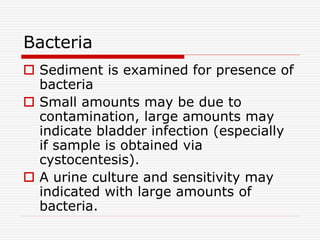 Performing-the-Urinalysis.ppt