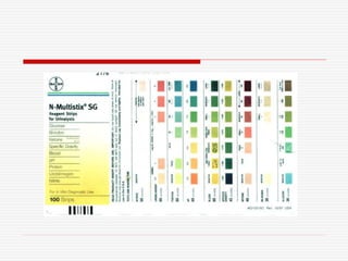 Performing-the-Urinalysis.ppt