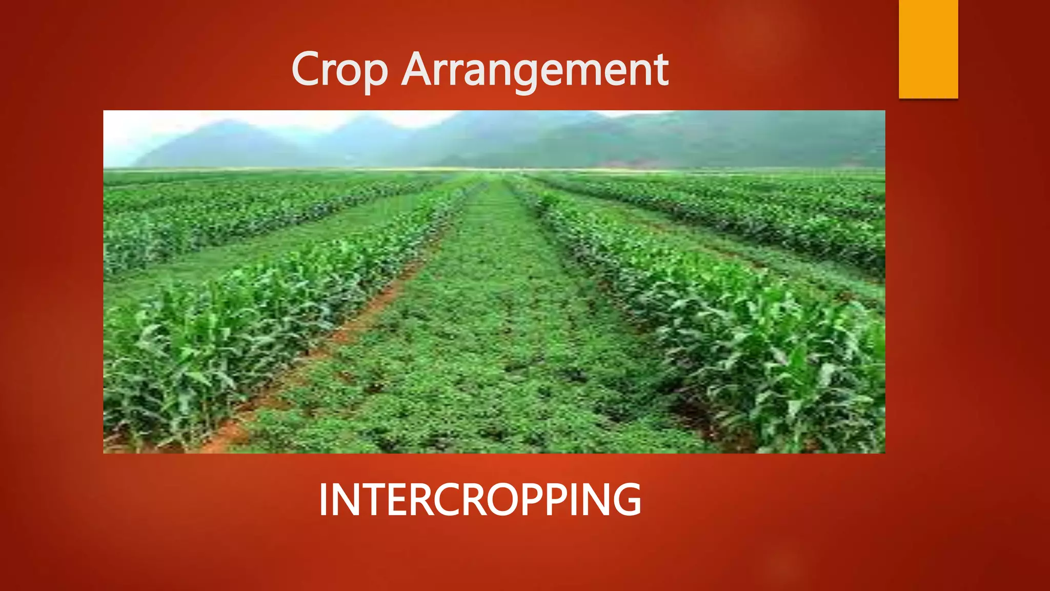 Performing basic workplace calculations.pptx