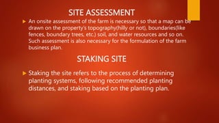 Performing basic workplace calculations.pptx