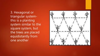 Performing basic workplace calculations.pptx