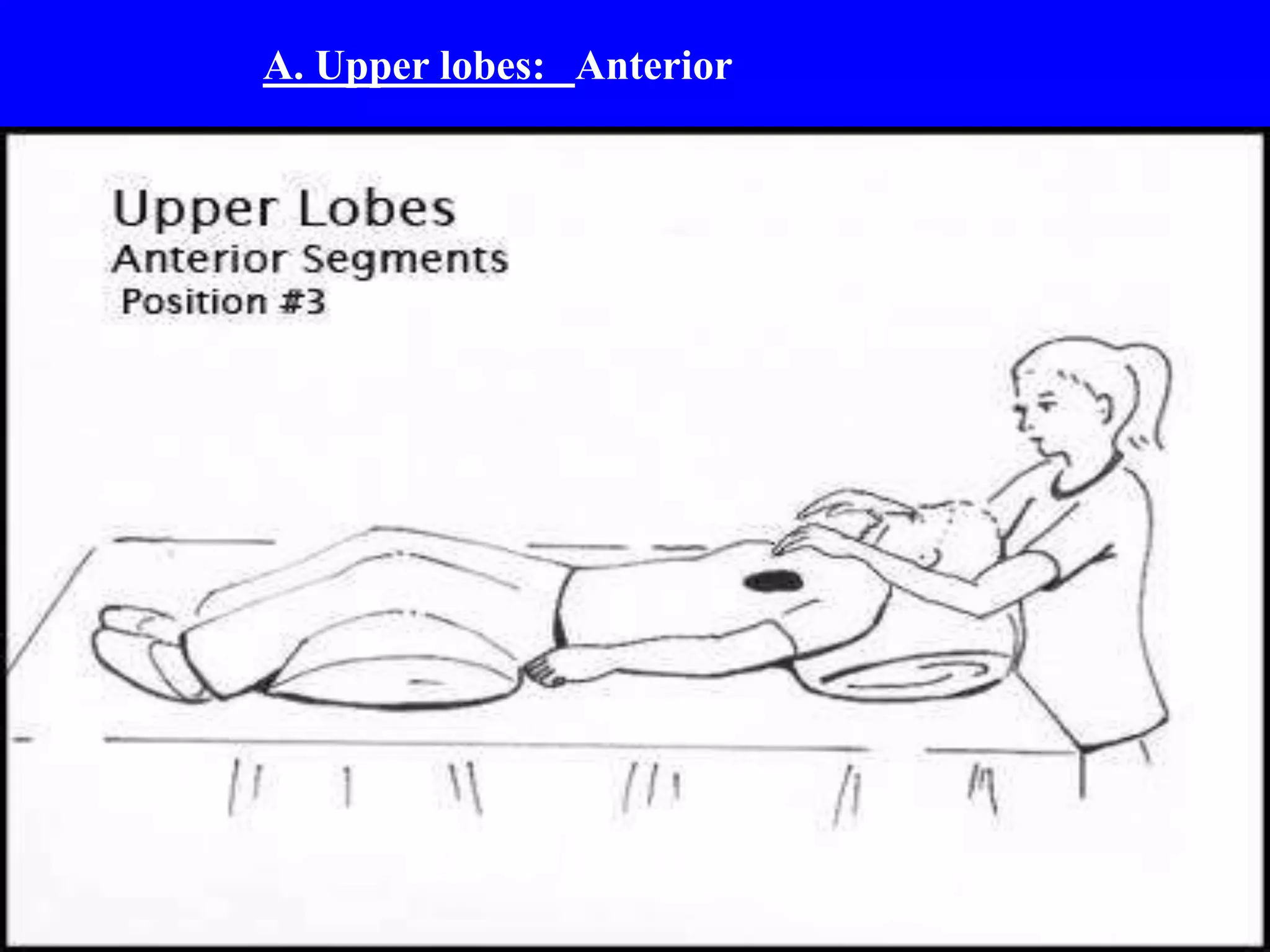 Performing chest physiotherapy | PPT