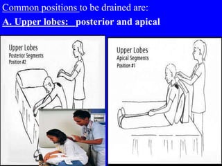 Performing chest physiotherapy | PPT