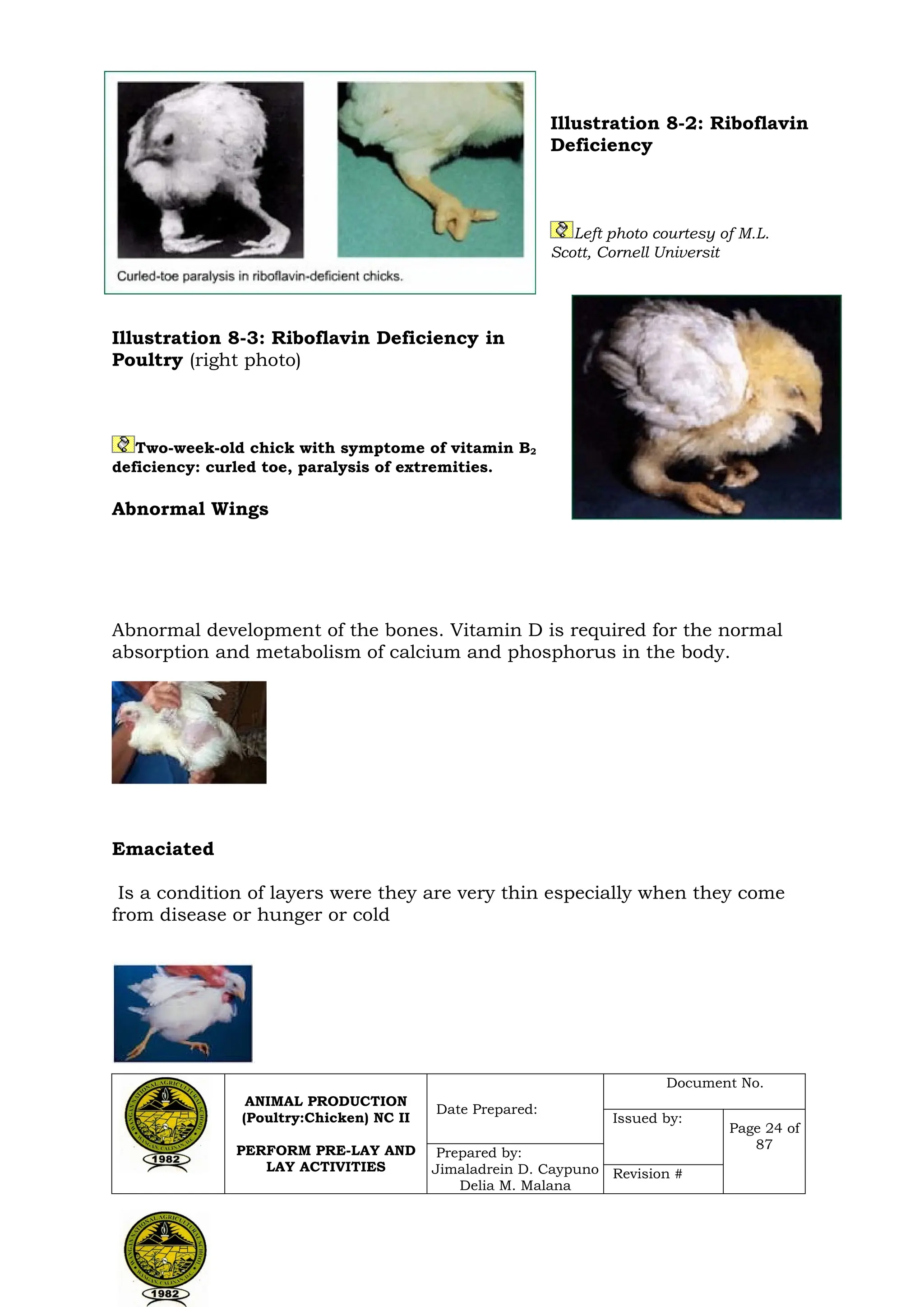 PERFORM PRE-LAY final for poultry chicken.doc