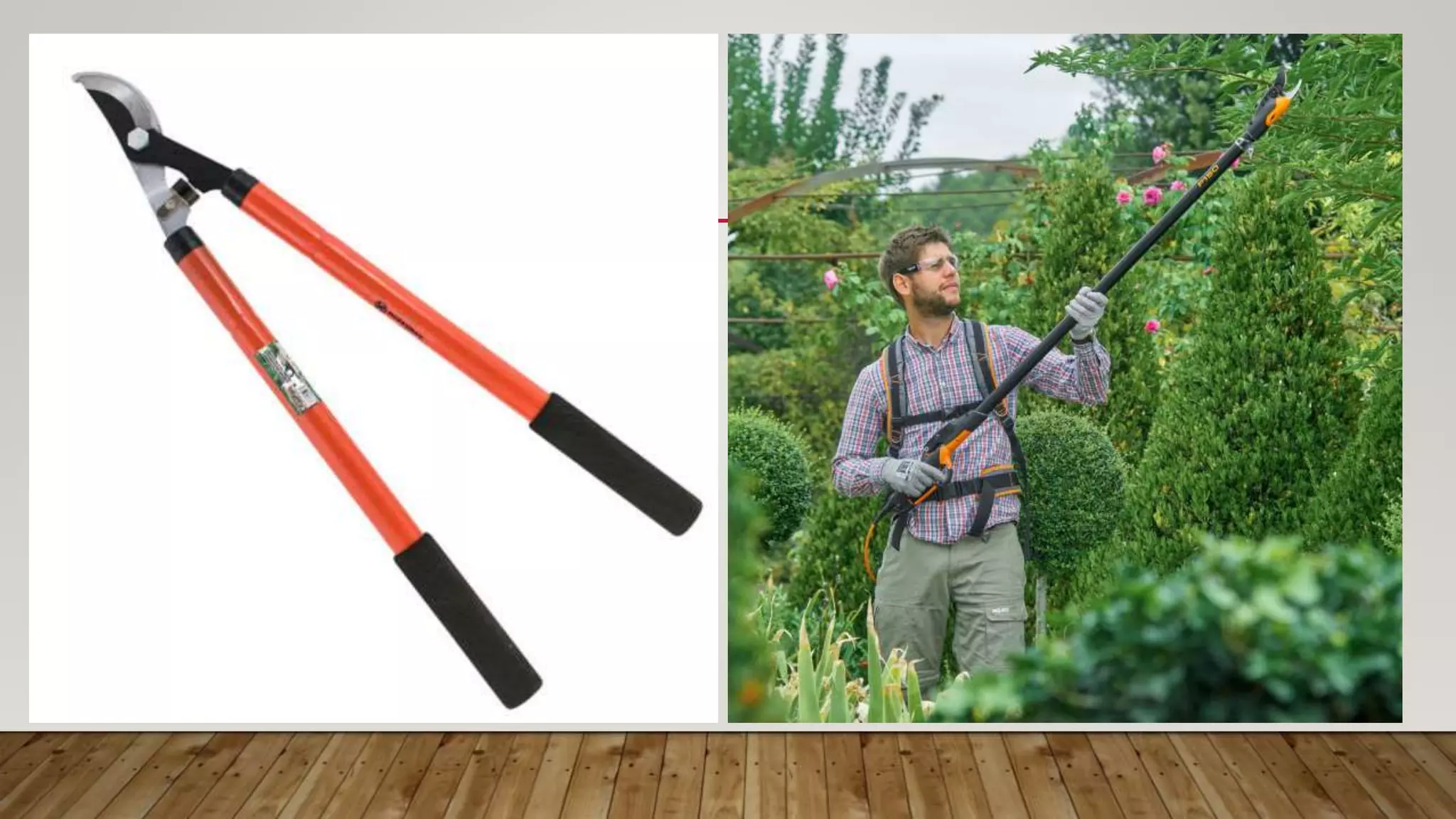 Perform Pruning Following Safety Procedures According to OSHS.pptx