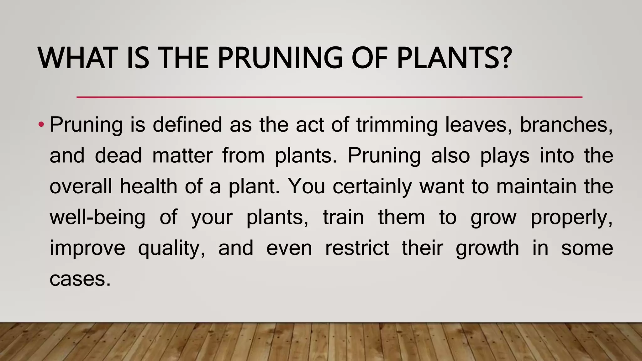 Perform Pruning Following Safety Procedures According to OSHS.pptx