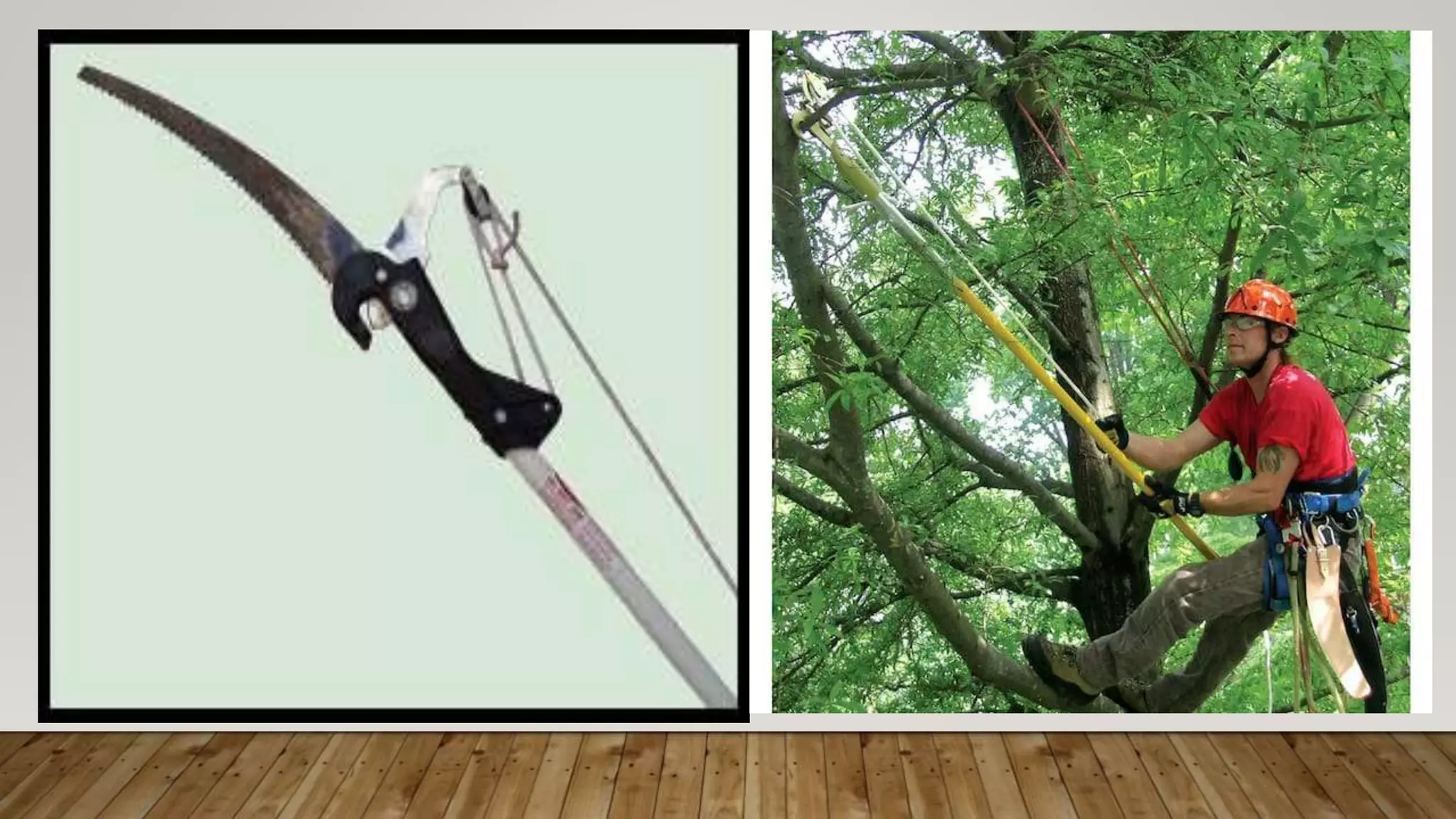 Perform Pruning Following Safety Procedures According to OSHS.pptx