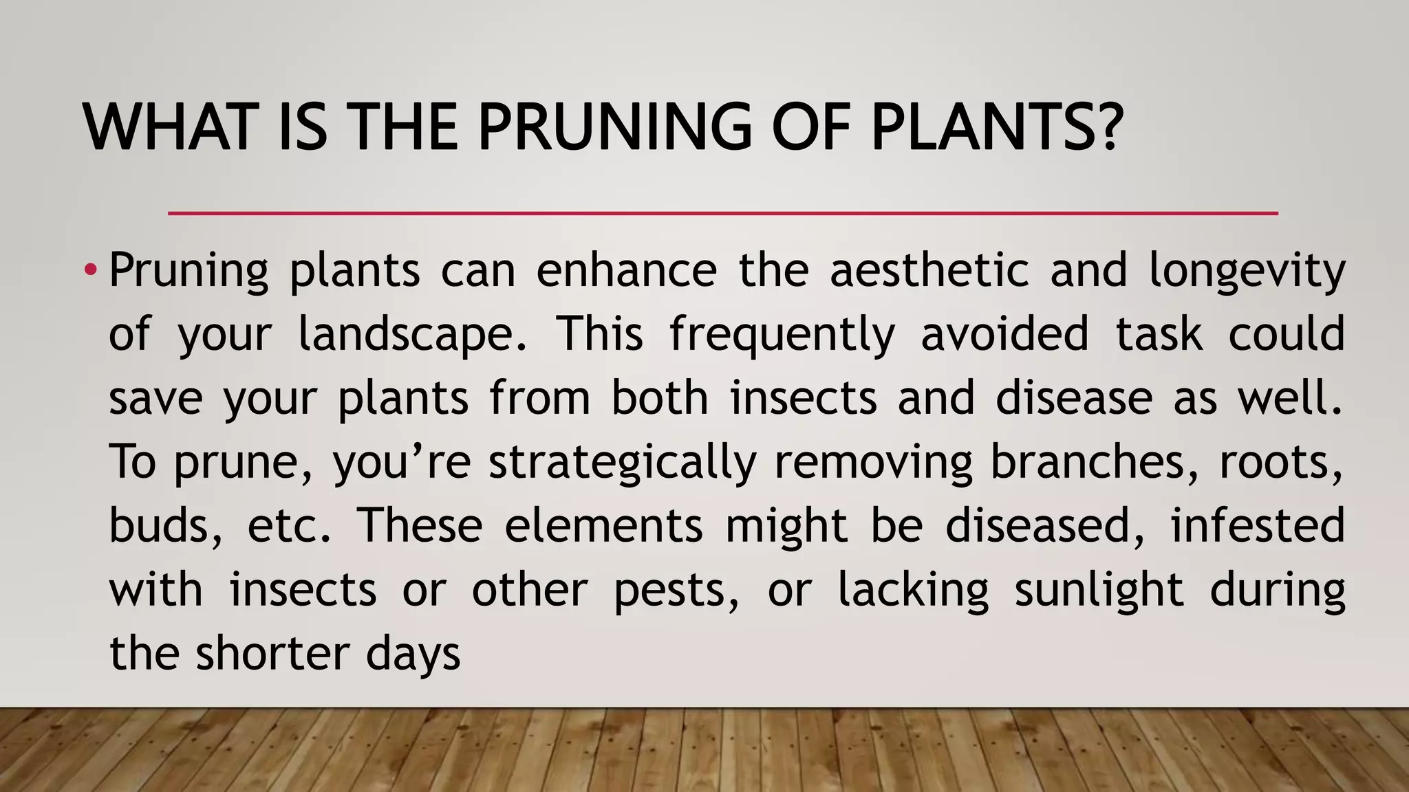 Perform Pruning Following Safety Procedures According to OSHS.pptx
