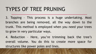 Perform Pruning Following Safety Procedures According to OSHS.pptx