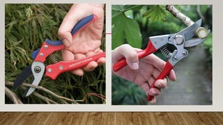 Perform Pruning Following Safety Procedures According to OSHS.pptx