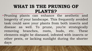 Perform Pruning Following Safety Procedures According to OSHS.pptx
