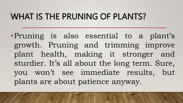 Perform Pruning Following Safety Procedures According to OSHS.pptx | Shaving | Personal Care