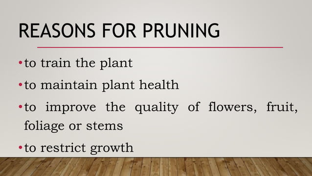 Perform Pruning Following Safety Procedures According to OSHS.pptx | Shaving | Personal Care