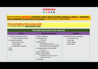 Perform qualitative risk analysis | PDF