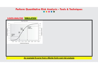 Perform quantitative risk analysis | PDF