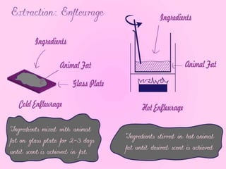 PERFUMES & PERFUME INGREDIENTS CAUSING ALLERGIC REACTION | PPTX