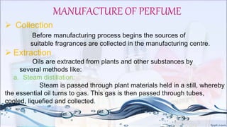 Perfume | PPT