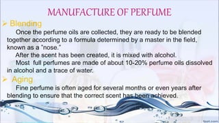 Perfume | PPTX