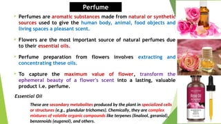 Perfume Preparation_Product development .ppt
