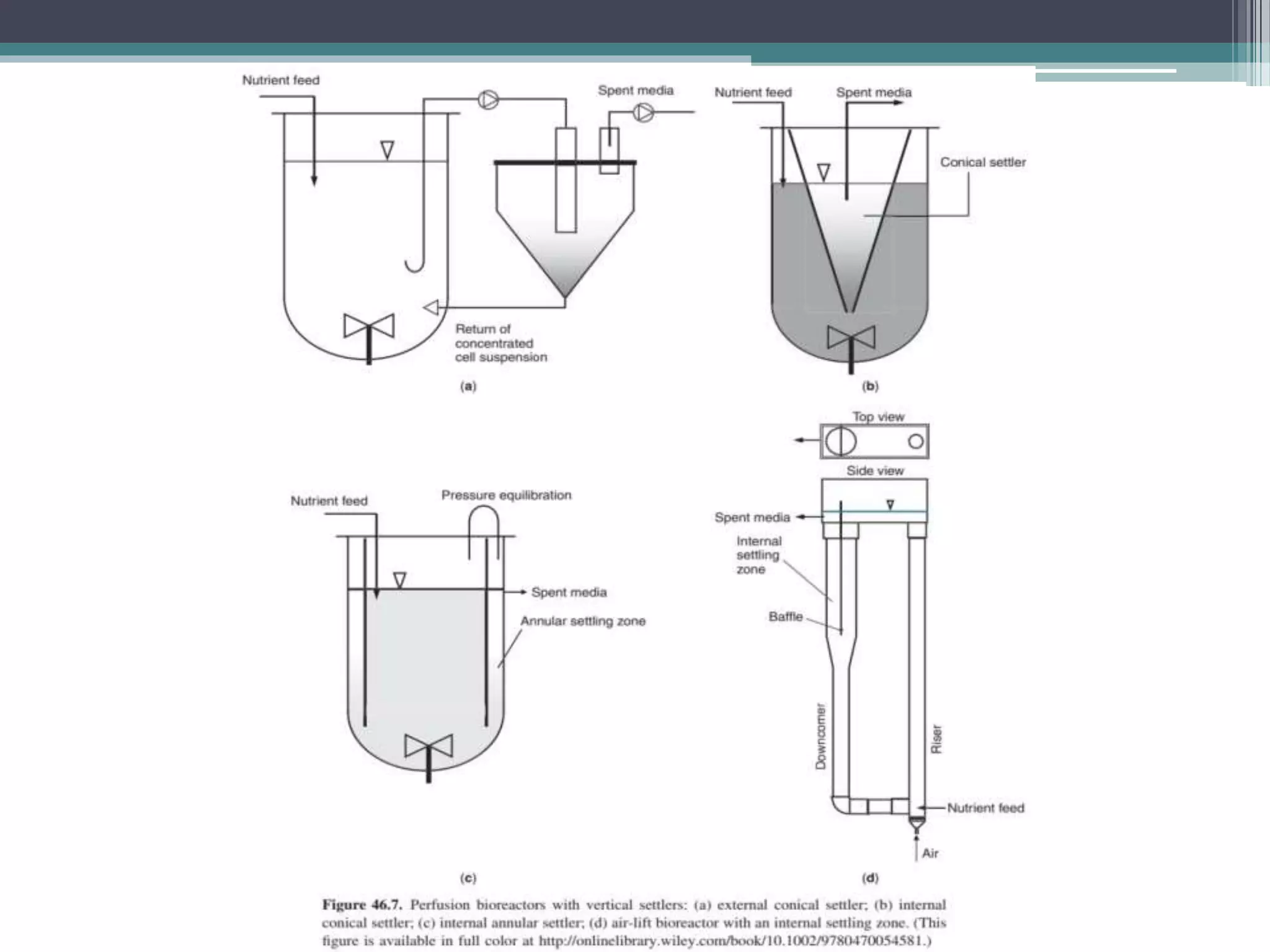 Perfusion Culture System | PPTX