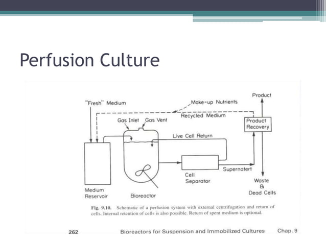 Perfusion Culture System | PPTX | Biotech and Biomedical Industry ...
