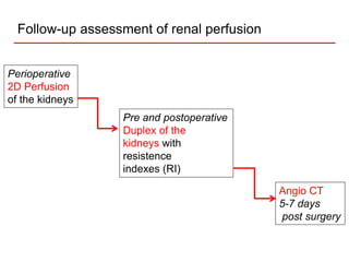 Renal Perfusion after EVAR: functional assessment with 2D perfusion measurements | PPT