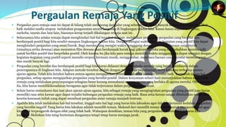 Pergaulan positif bagi remaja | PPTX