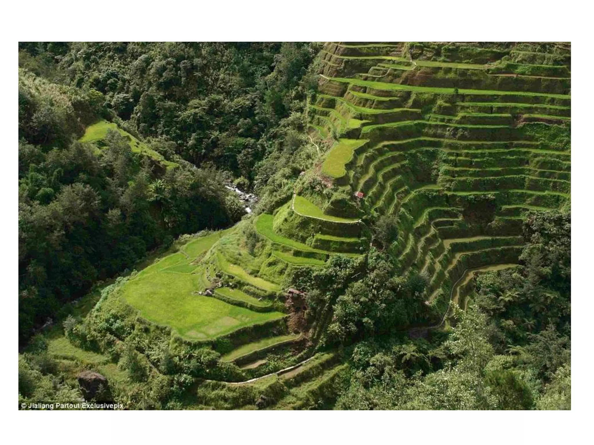 Pergerakan jisim | PPTX