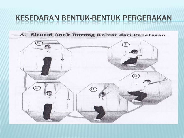 Pergerakan kreatif | PPTX