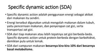 CARA PERHITUNGAN KEBUTUHAN ENERGI ATLET.pptx