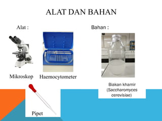 PERHITUNGAN KUANTITATIF MIKROBA (haemocytometer)(1).pptx