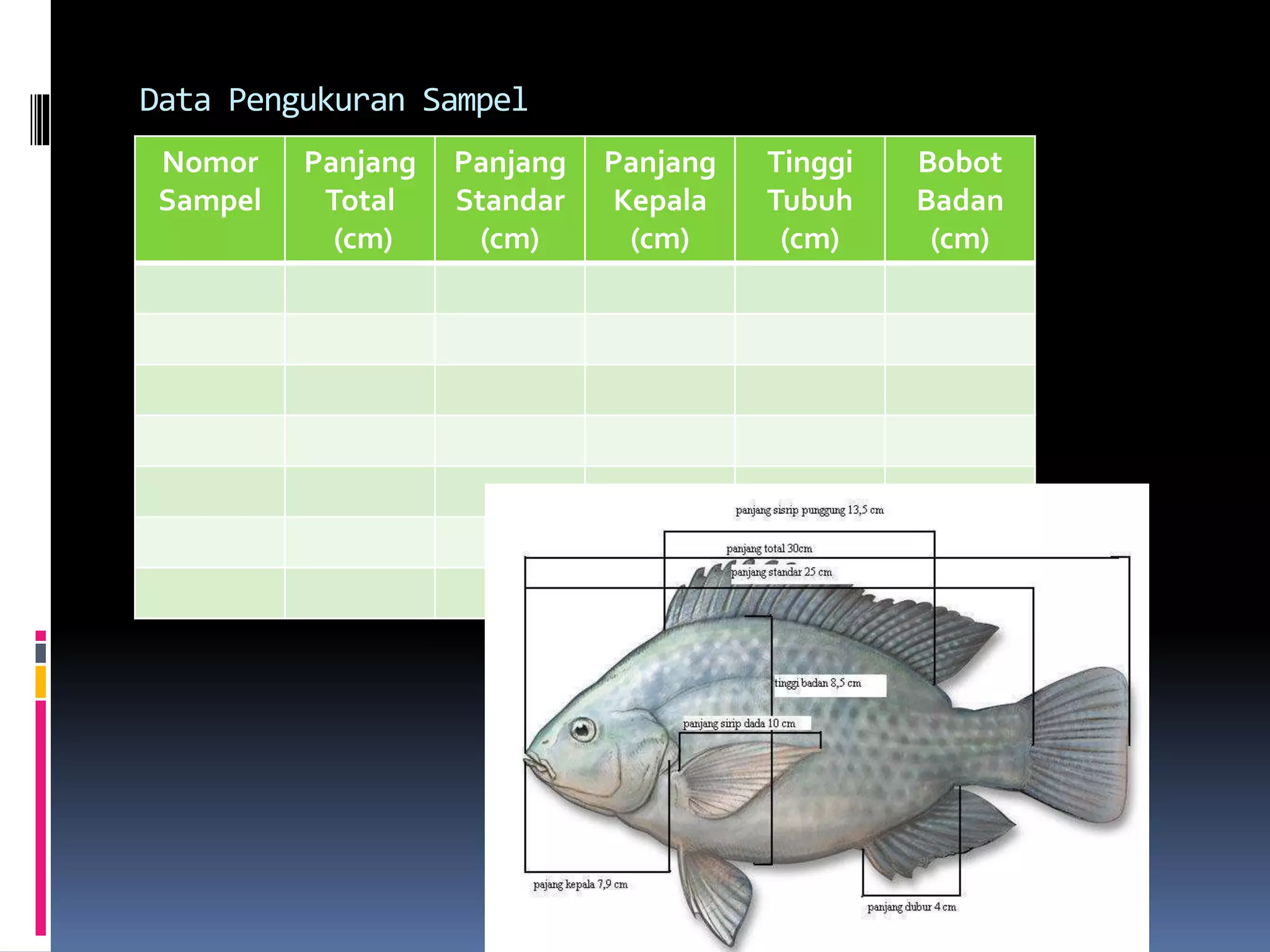 perhitungan sampling.pptx