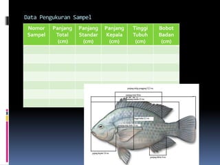 perhitungan sampling.pptx