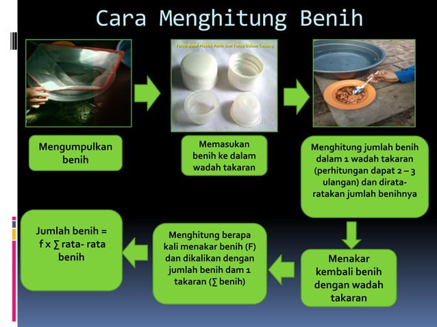 perhitungan sampling.pptx