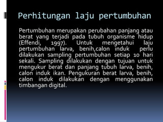 perhitungan sampling.pptx