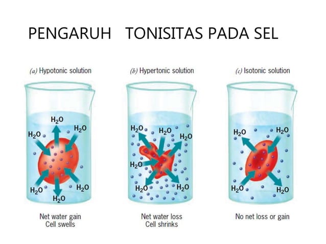 Perhitungan Tonisitas (Tonicity calculation) in sterile formulation.pptx