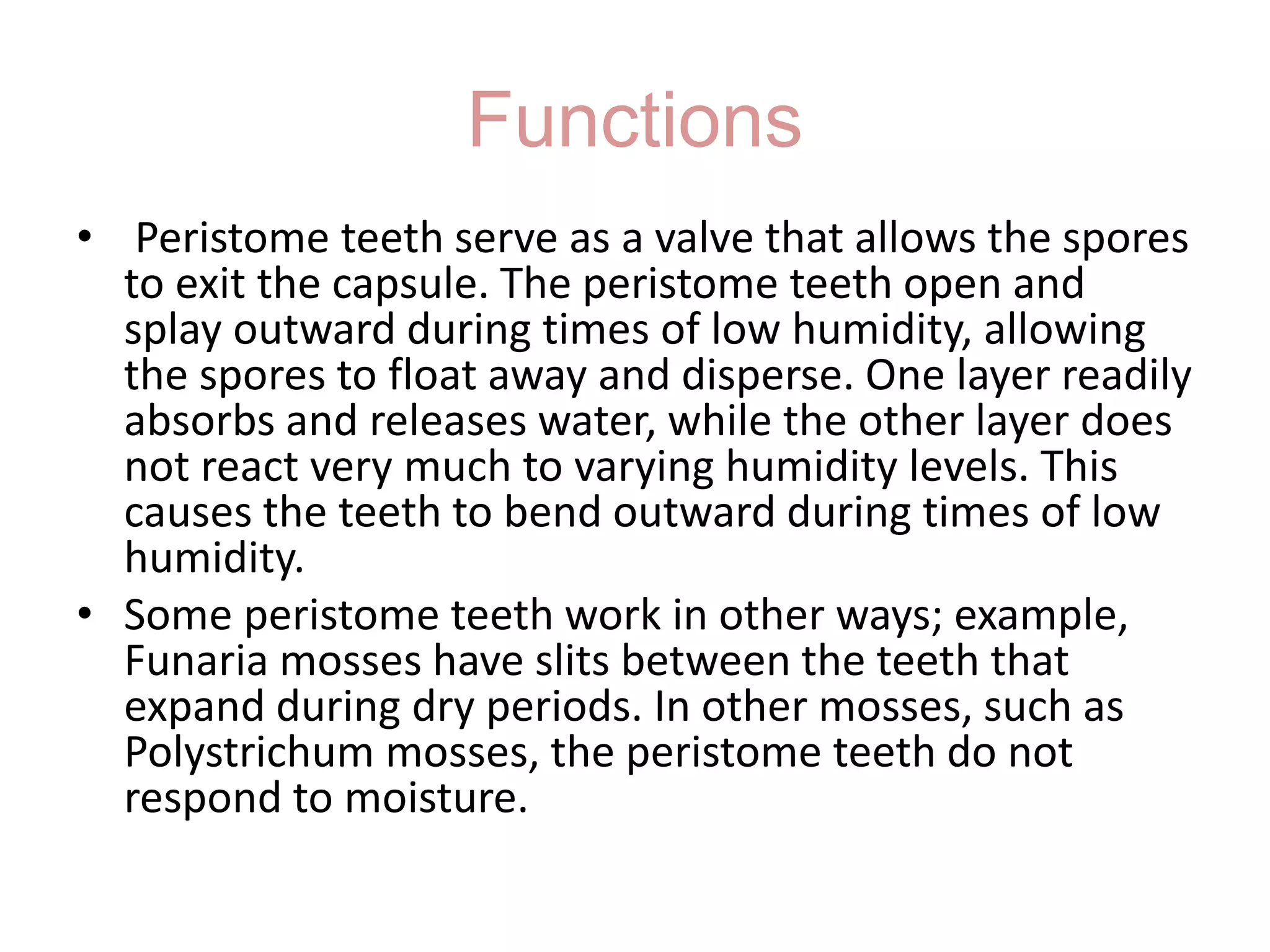 Peristome teeth in moss | PPTX