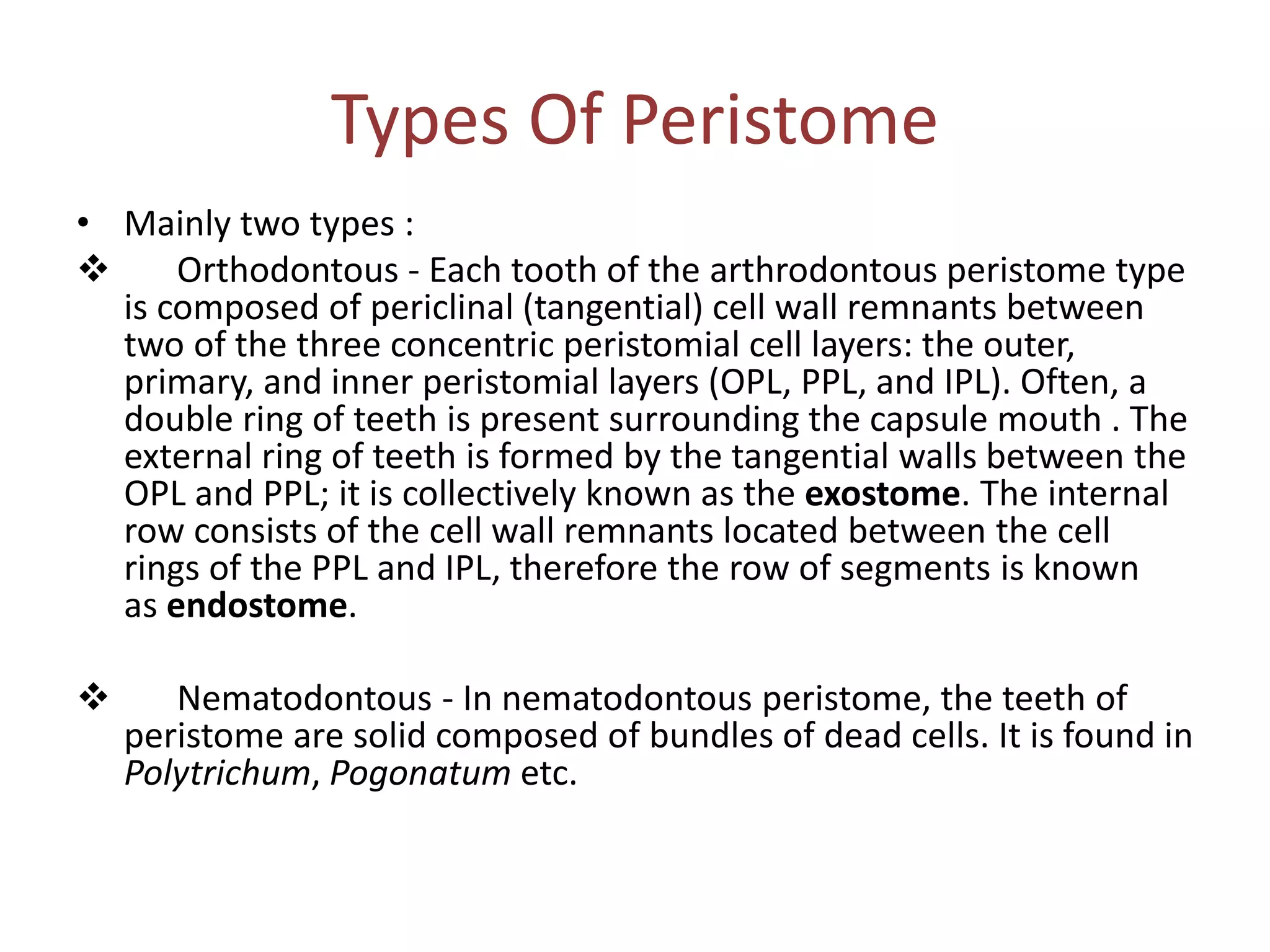 Peristome teeth in moss | PPTX