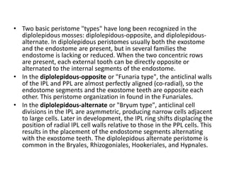 Peristome teeth in moss | PPTX